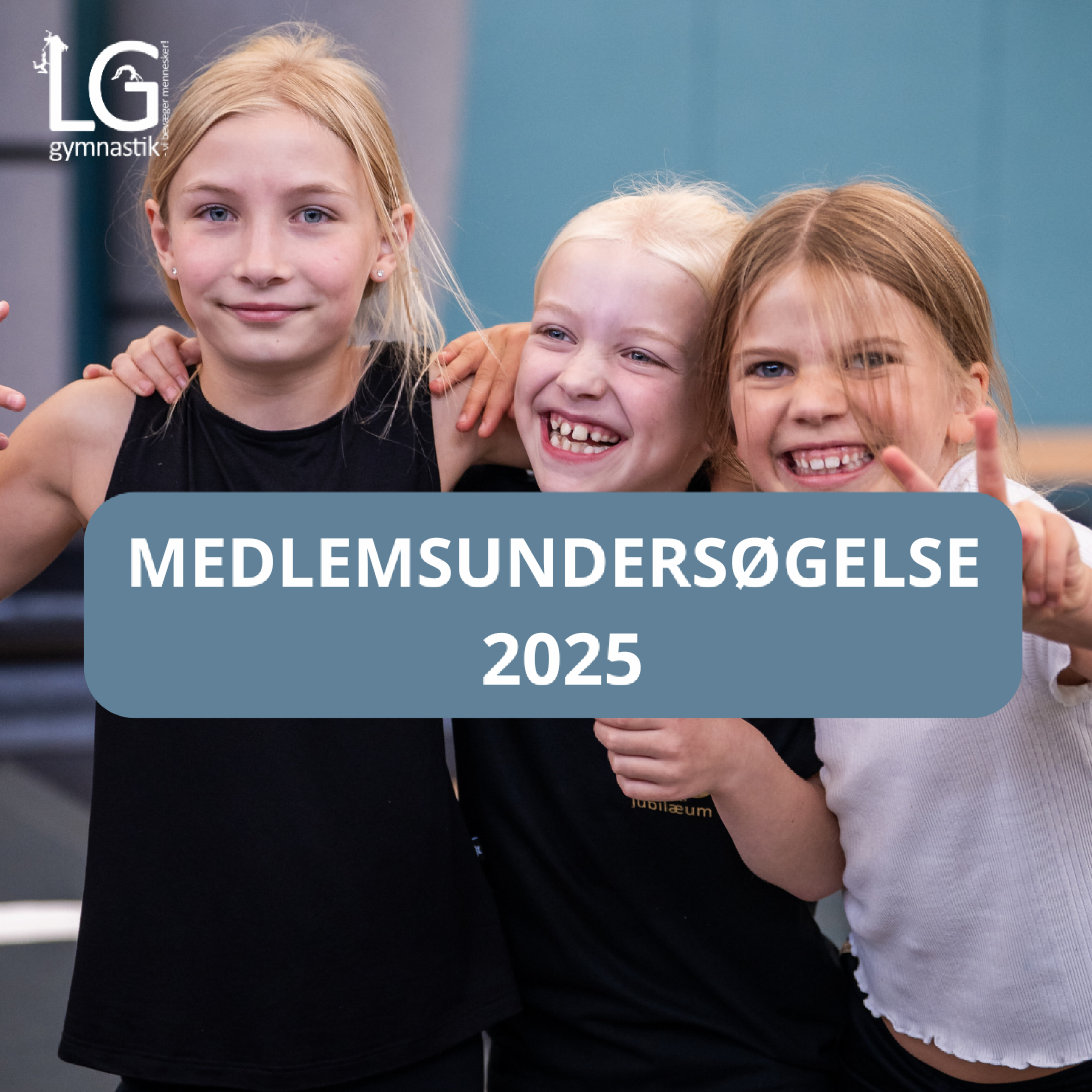 Medlemsundersøgelse 2025